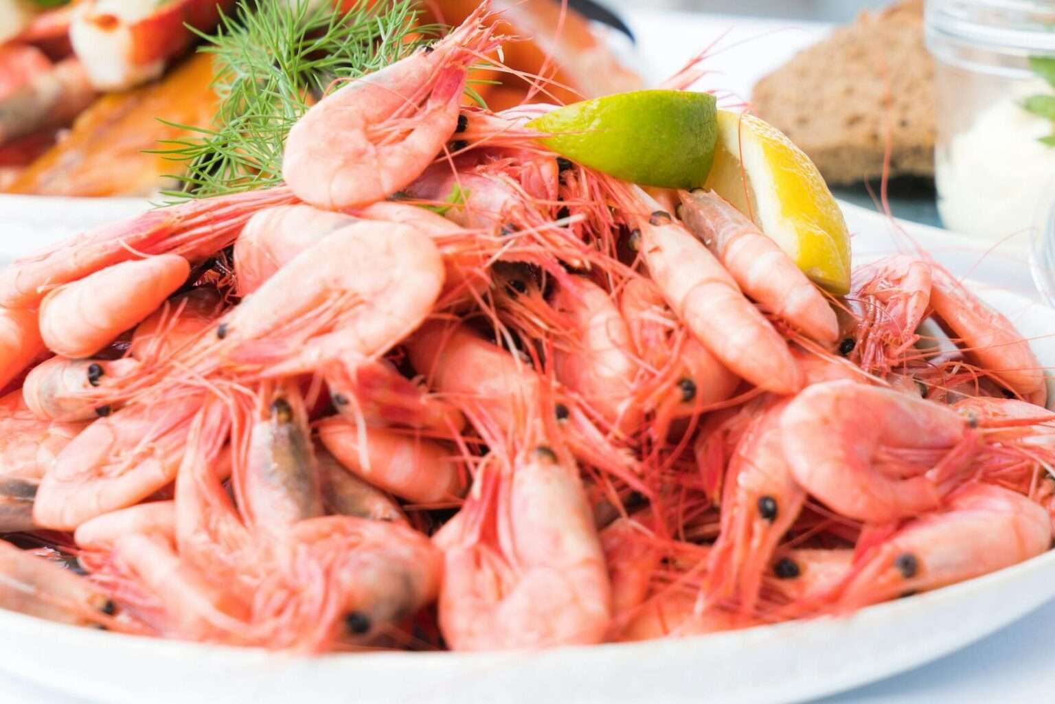 Are Prawns Halal or Haram? Islamic Dietary Guidelines Explained