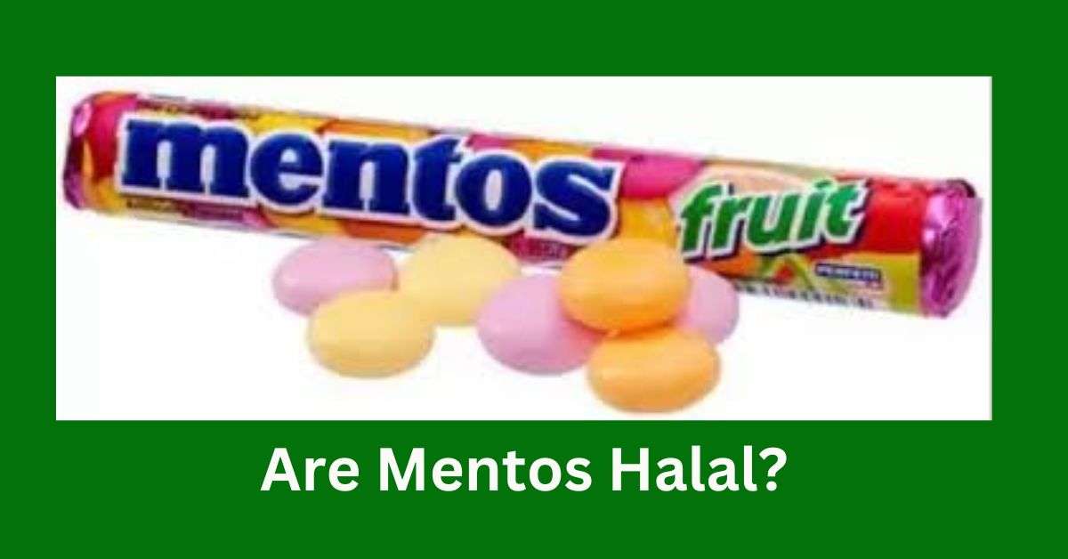 Are Mentos Halal? Find Out the Halal Status of Mentos