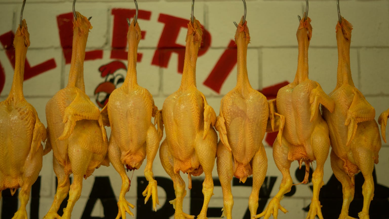 How Halal or Haram Meat Is Slaughtered – Islamic Guidelines & Ethics