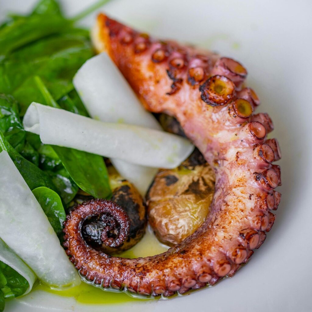 Is Octopus Halal? Islamic Verdicts, Health Benefits & More